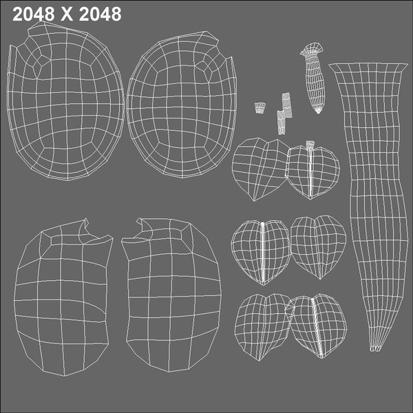 3d model germination seed