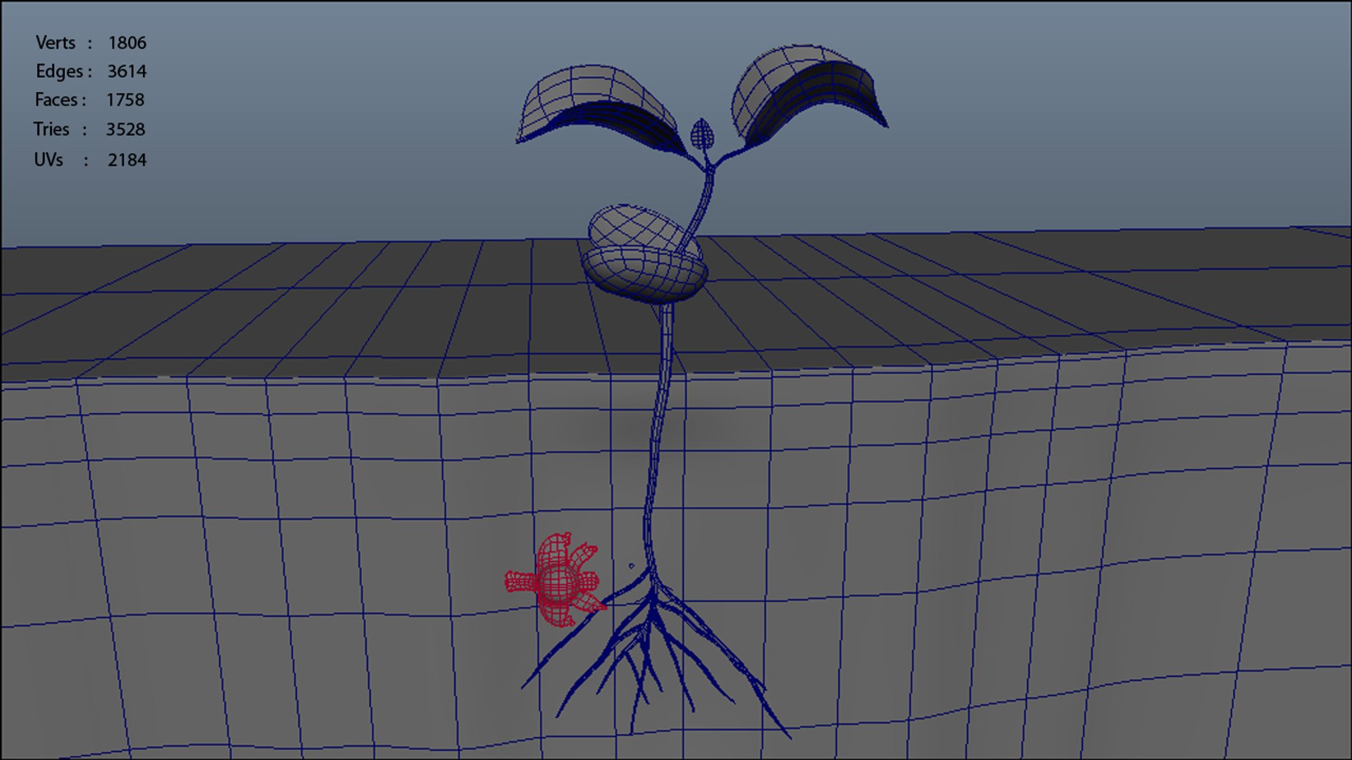 3d Model Germination Seed