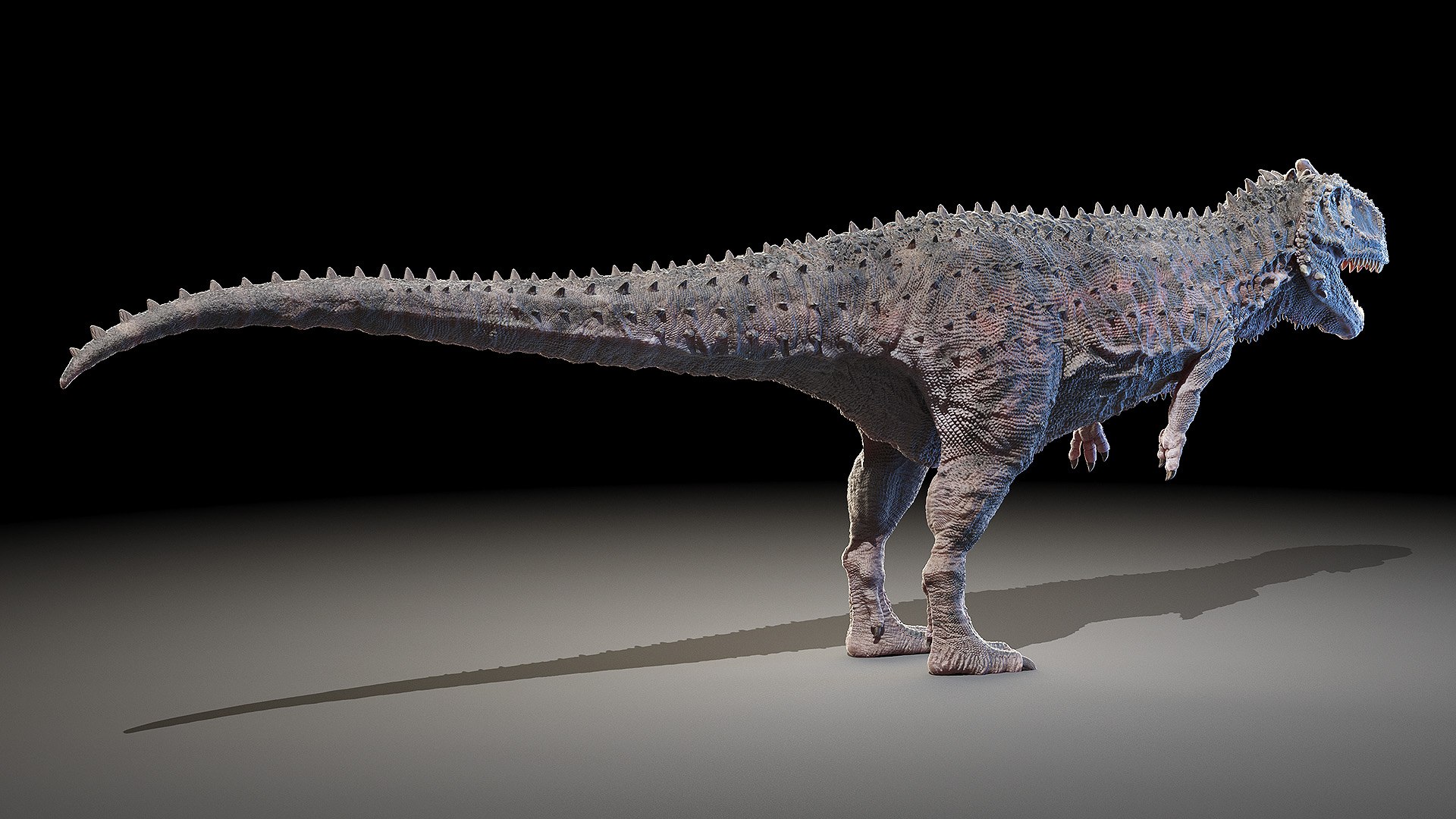 3D Rajasaurus - TurboSquid 1586755