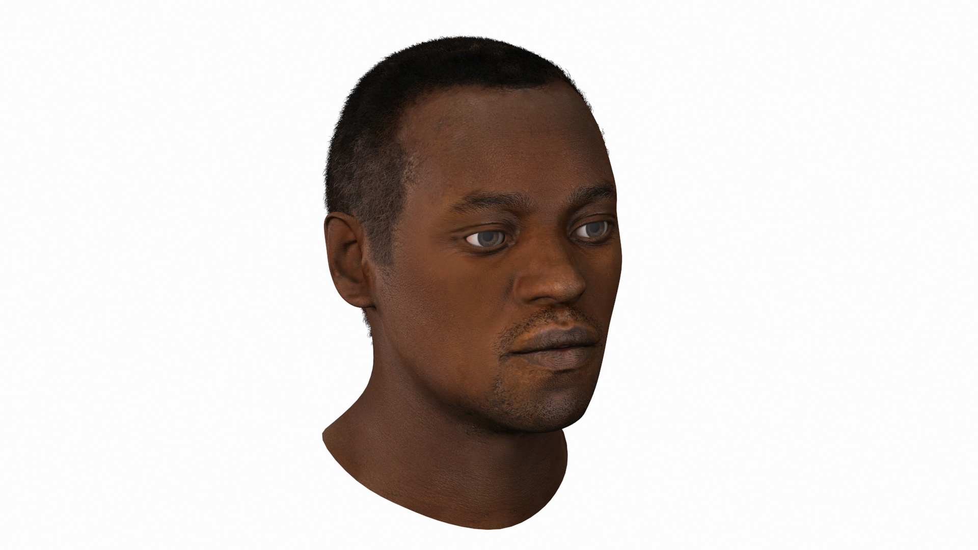 Middle Aged African Male Head Fur 3D Model - TurboSquid 2506664