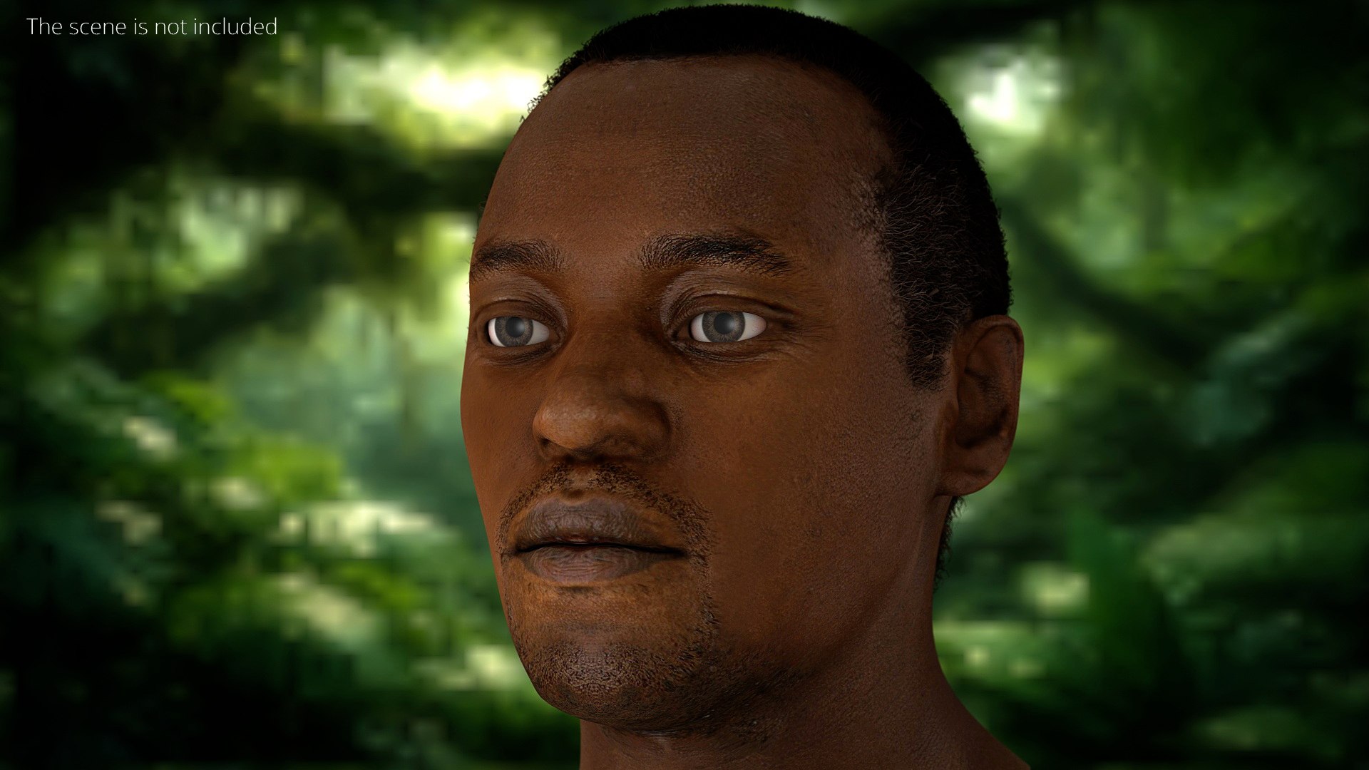Middle Aged African Male Head Fur 3D Model - TurboSquid 2506664
