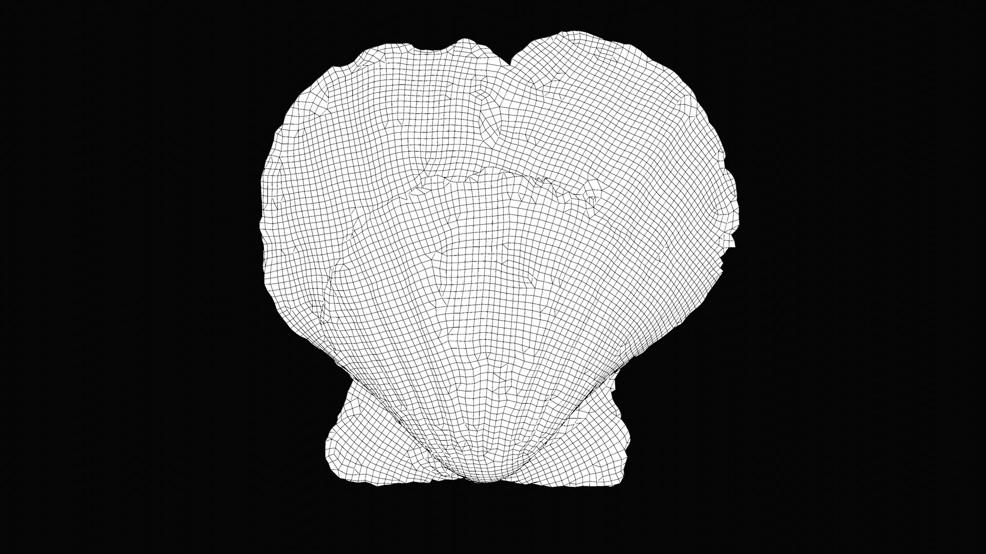 Sea Scallop Shell 3D - TurboSquid 1627572