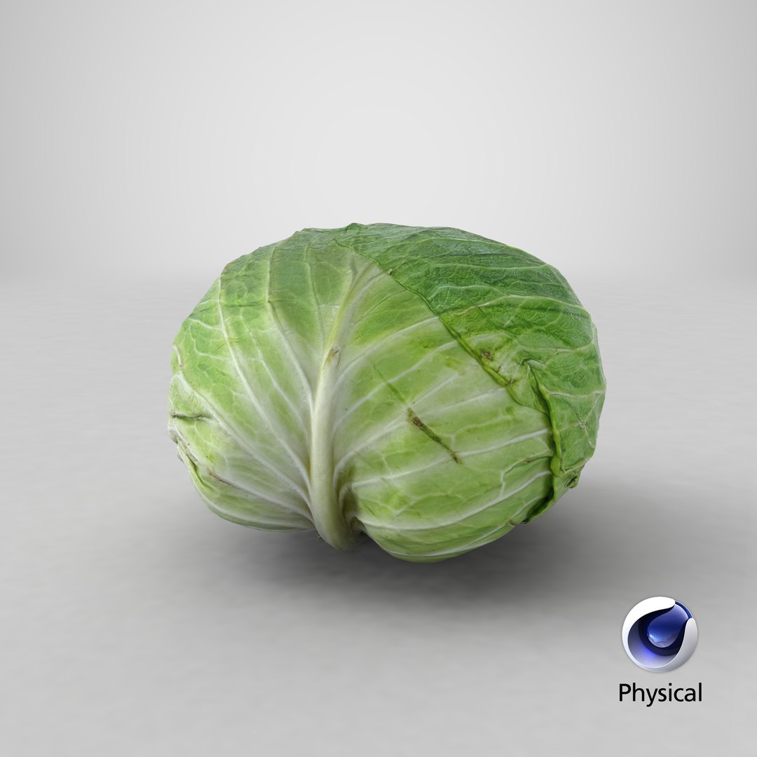 Cabbage 02 3D - TurboSquid 1841317