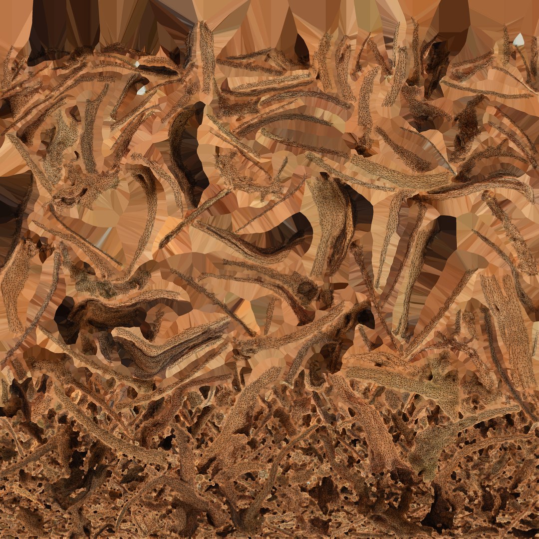 3D model tree root - TurboSquid 1633961