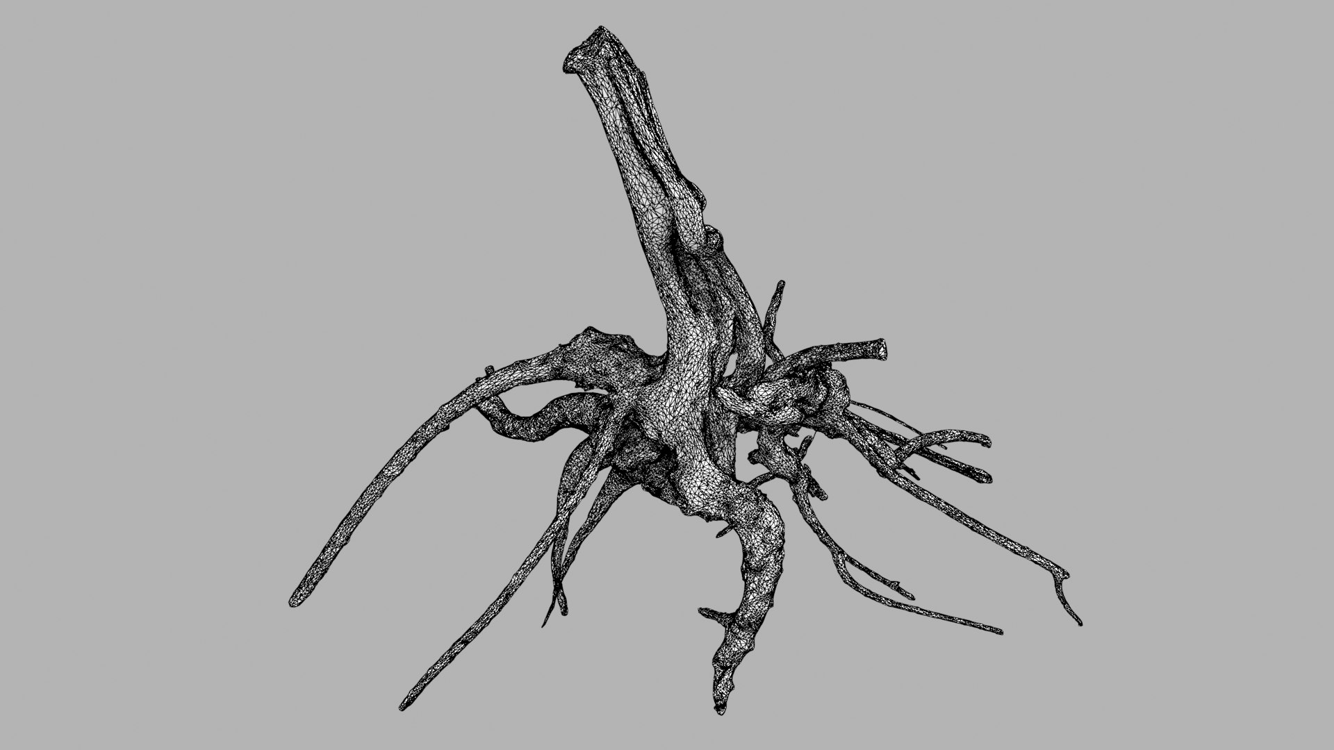 3D model tree root - TurboSquid 1633961