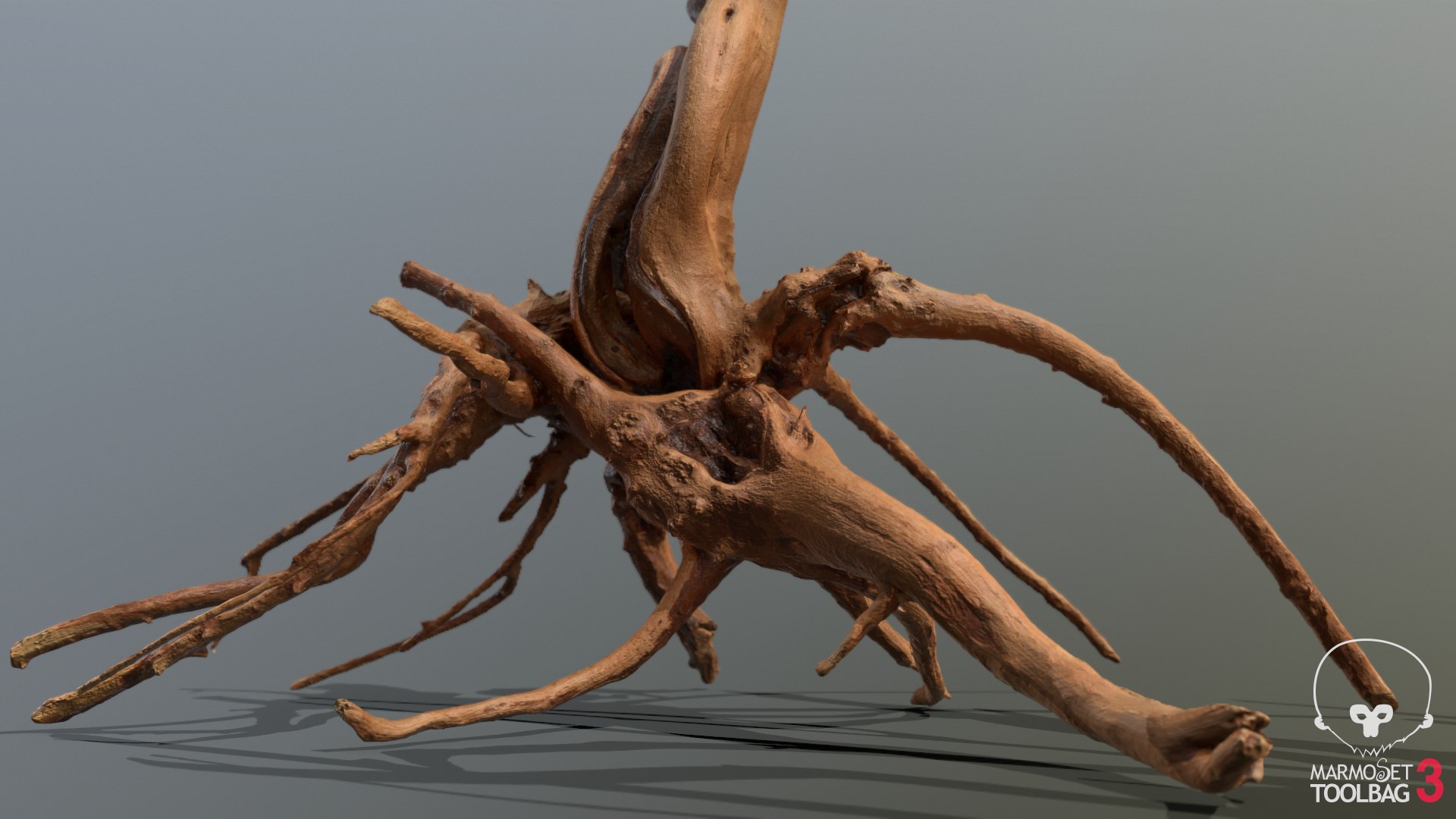 3D model tree root - TurboSquid 1633961