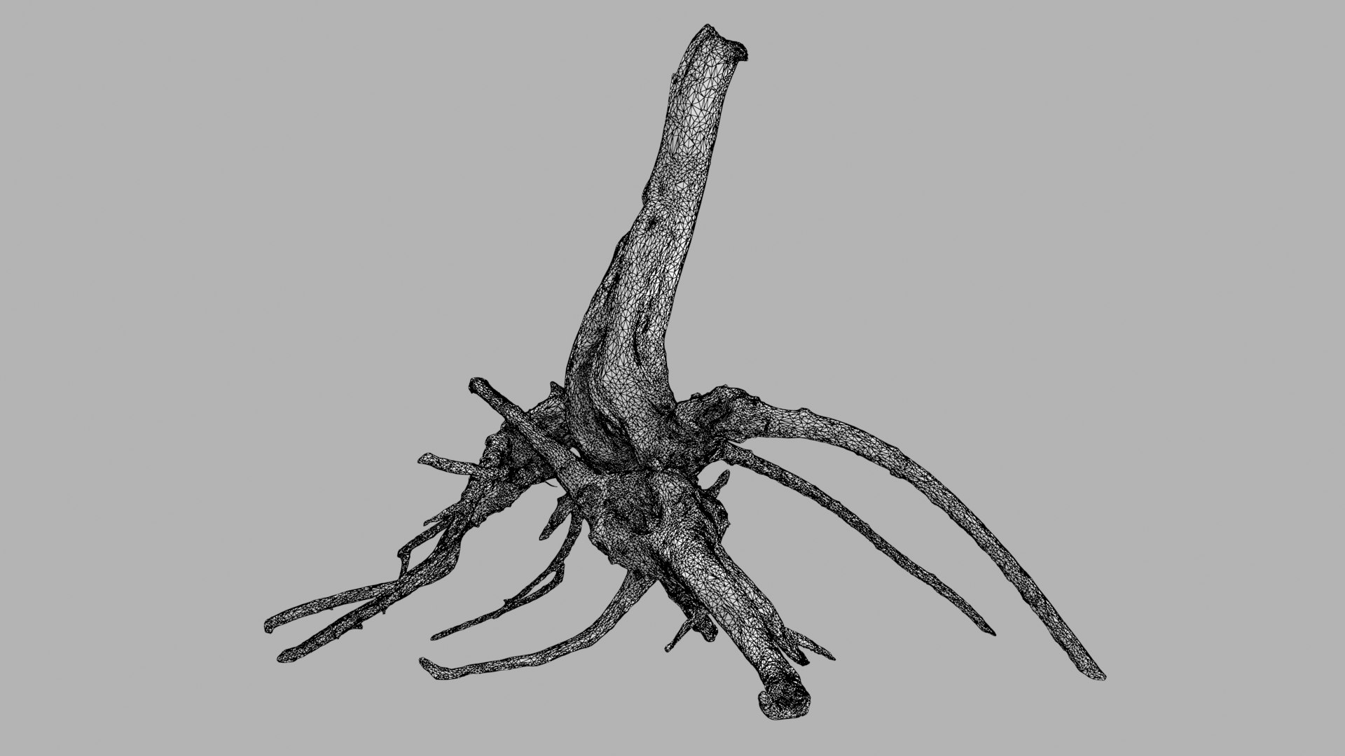 3D model tree root - TurboSquid 1633961