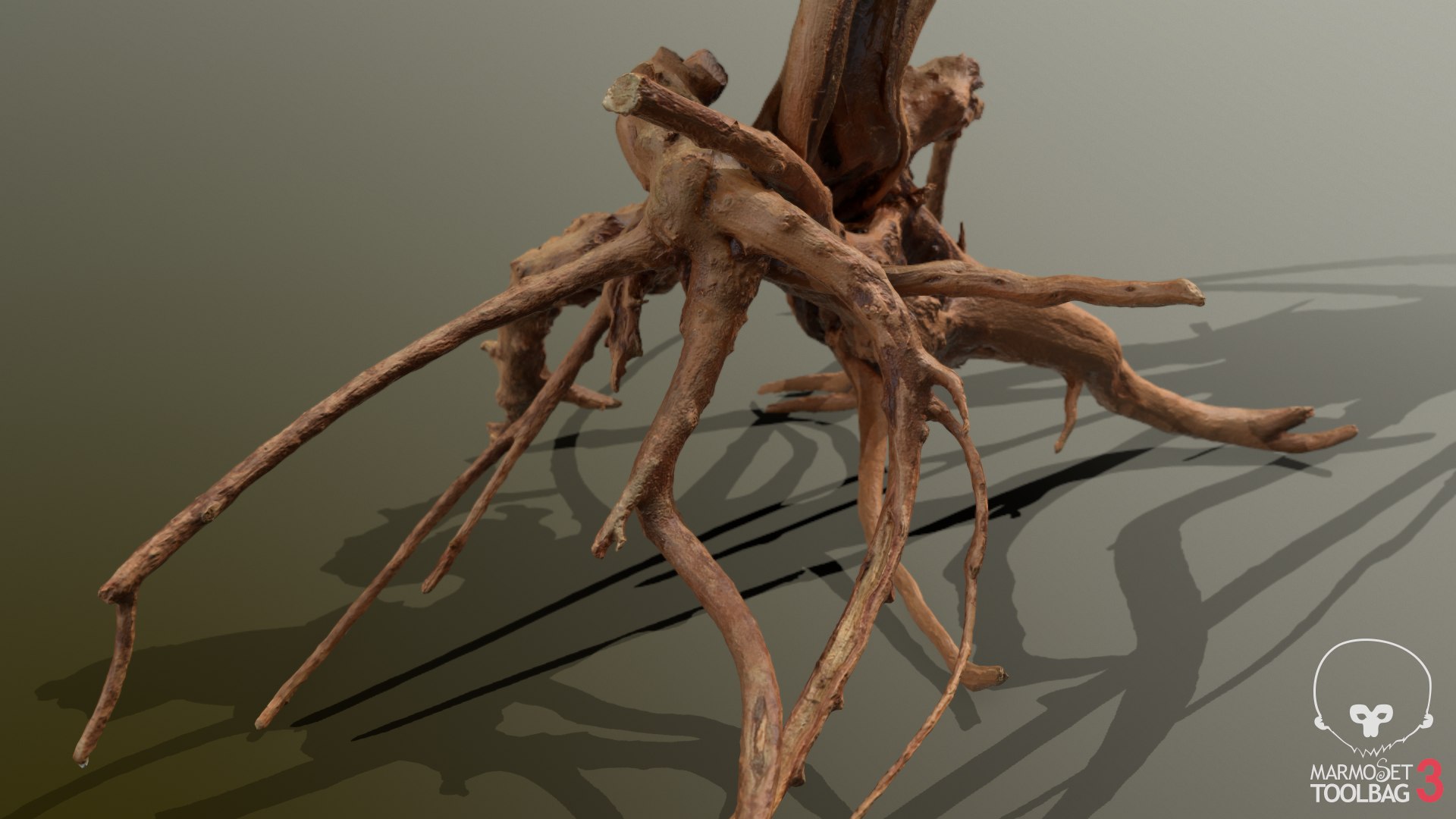 3D model tree root - TurboSquid 1633961