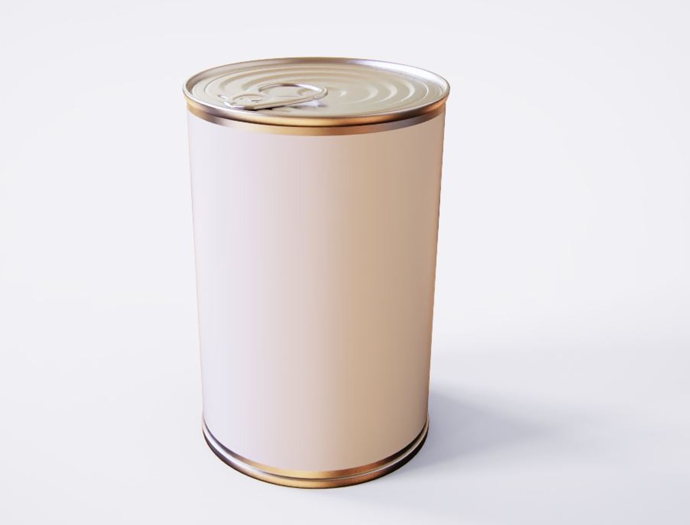 3D Model Closed Tin Label - TurboSquid 1571291