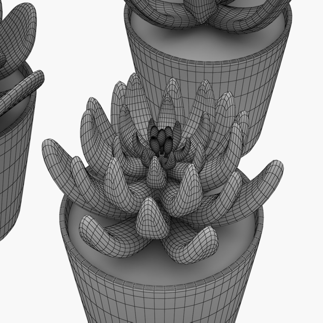 Plant 3D model - TurboSquid 1475221