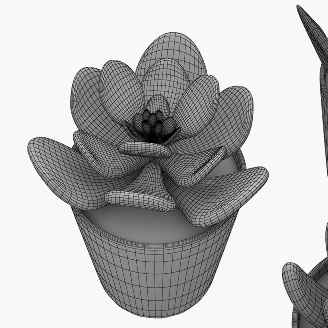 Plant 3D model - TurboSquid 1475221