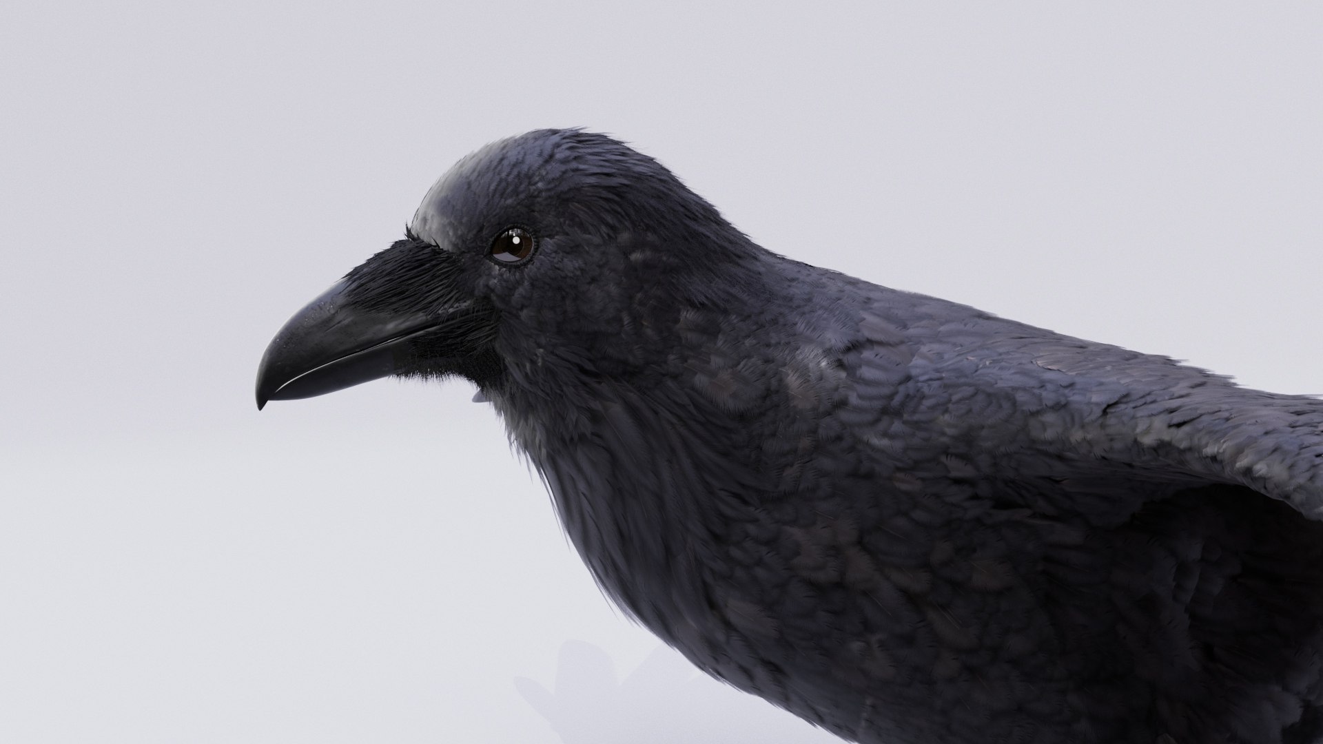3D Raven - TurboSquid 1912919