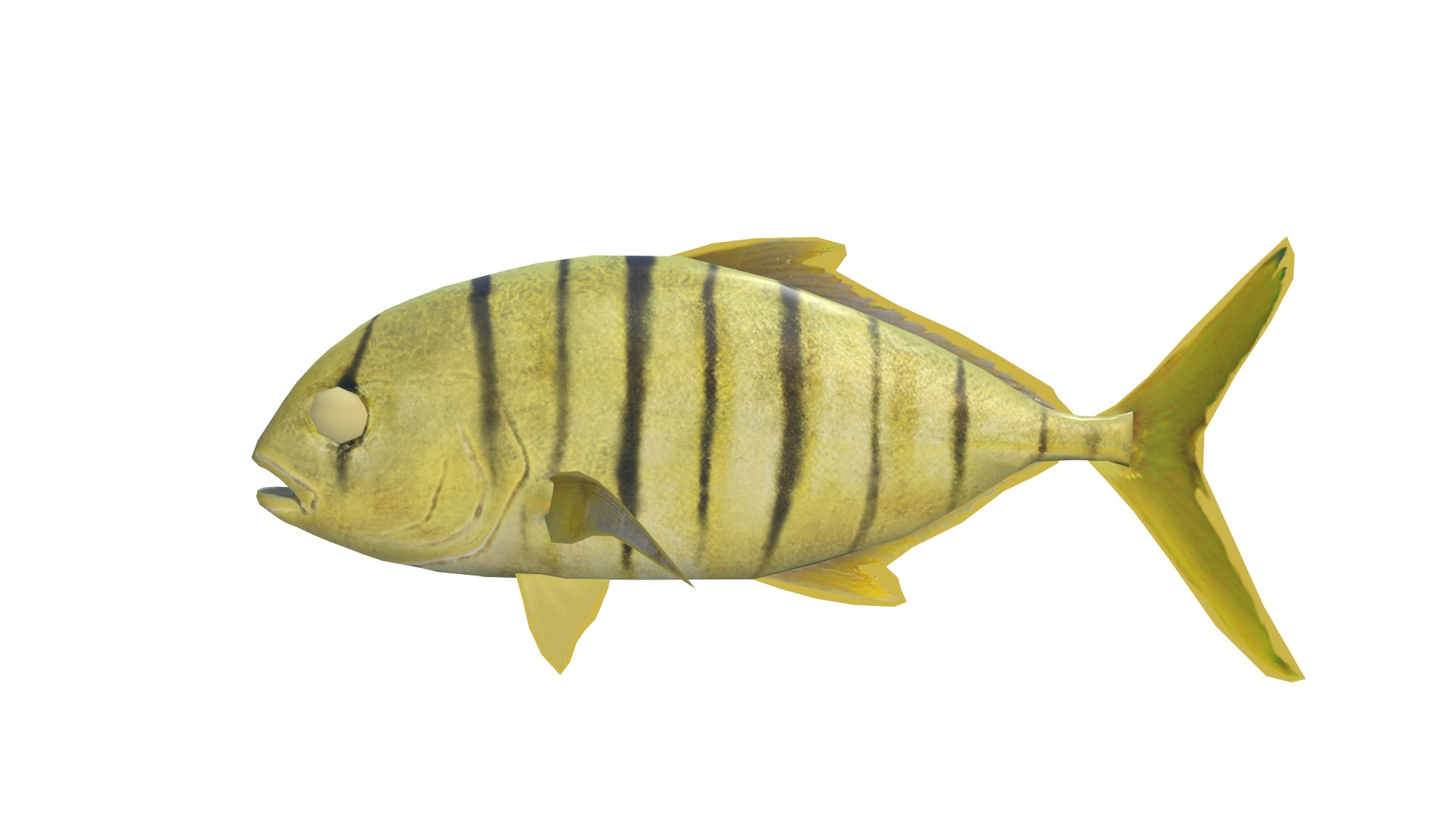 Golden Trevally Fish 3D Model 3D Model - TurboSquid 2313606