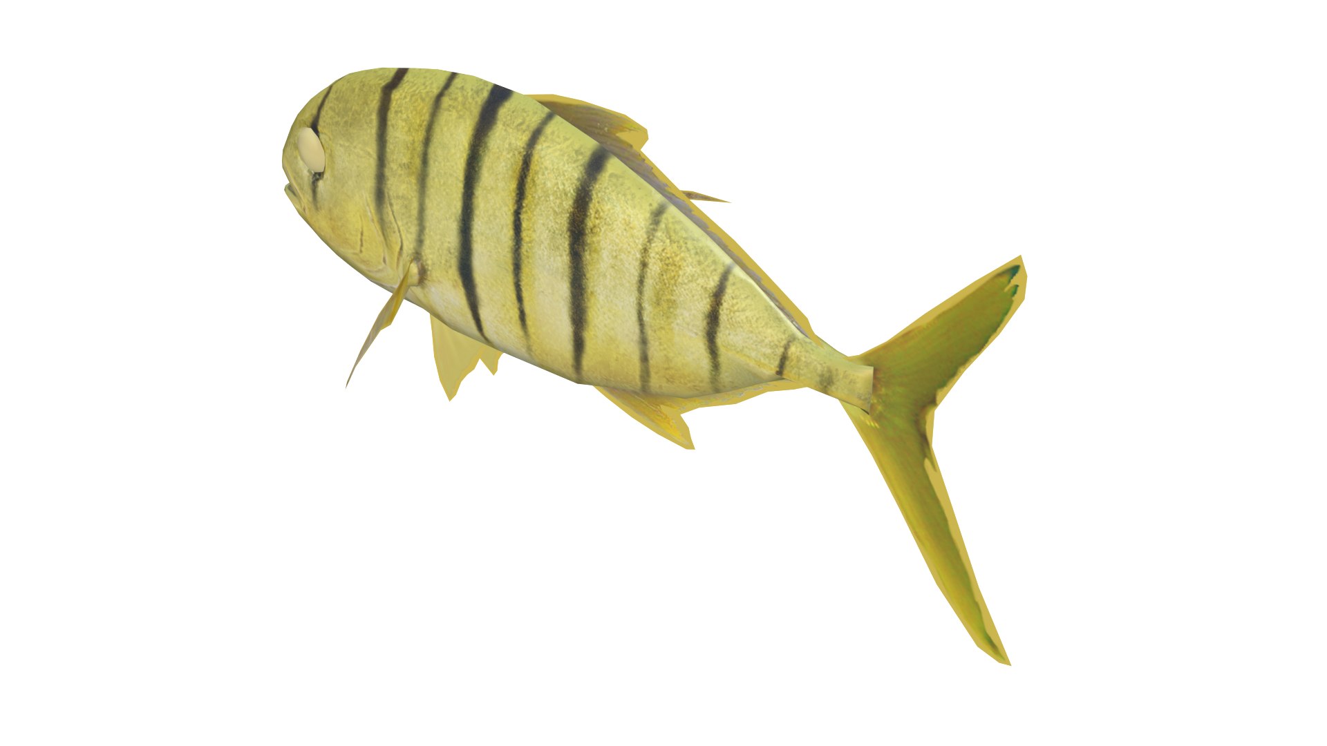 Golden Trevally Fish 3D Model 3D Model - TurboSquid 2313606