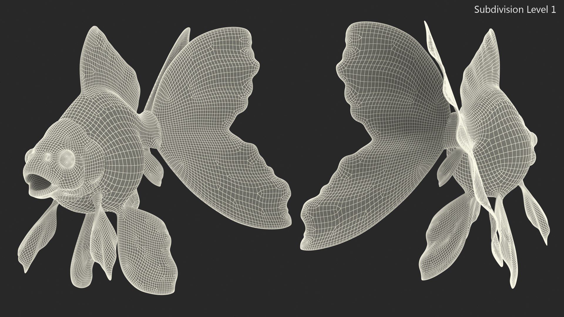 Orange Fancy Fantail Goldfish Rigged 3D Model - TurboSquid 1760367