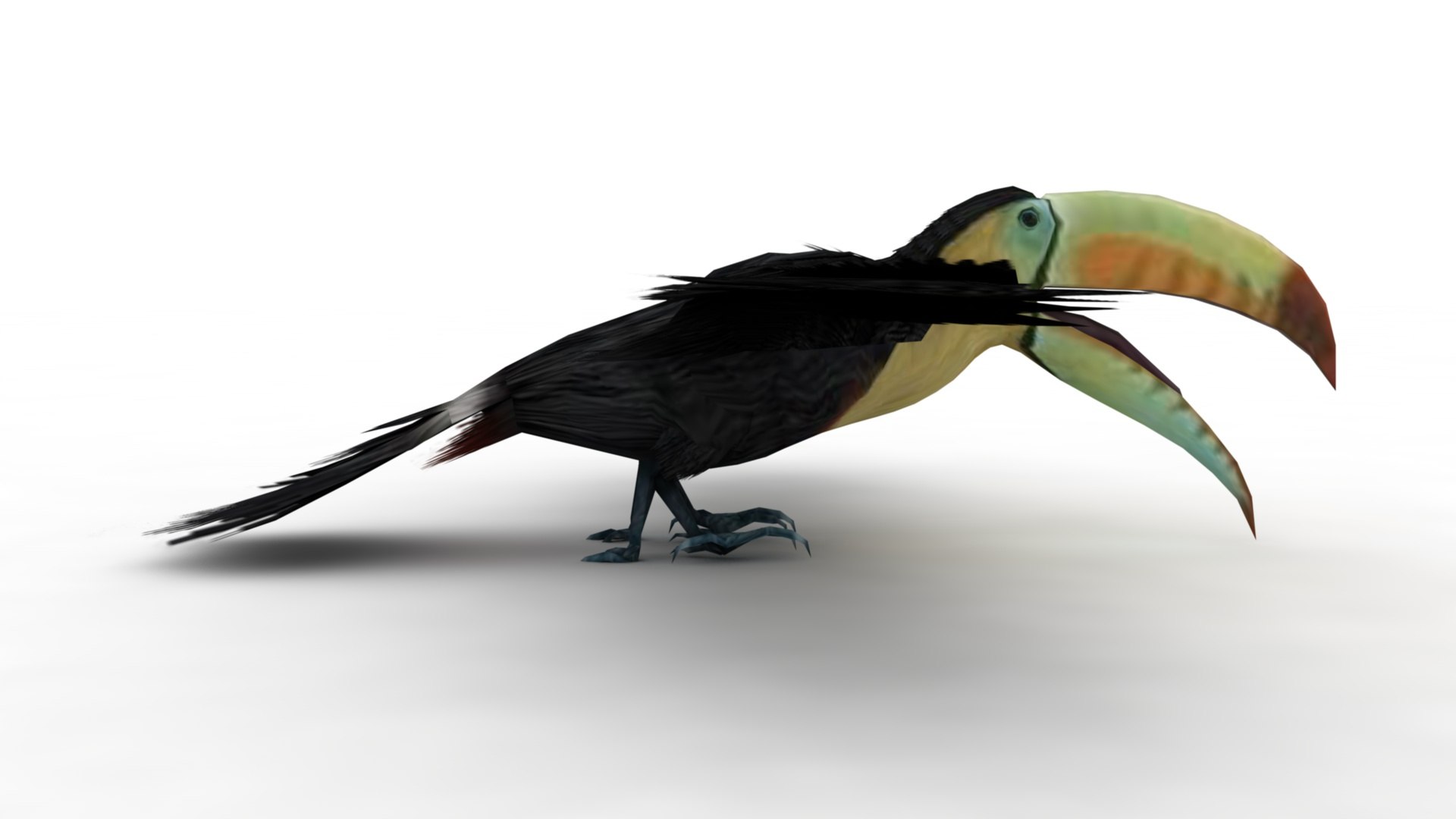3D Toucan - TurboSquid 2273680