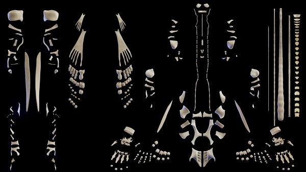 Complete Human Anatomy Asian Male 3D 모델 - TurboSquid 2029891