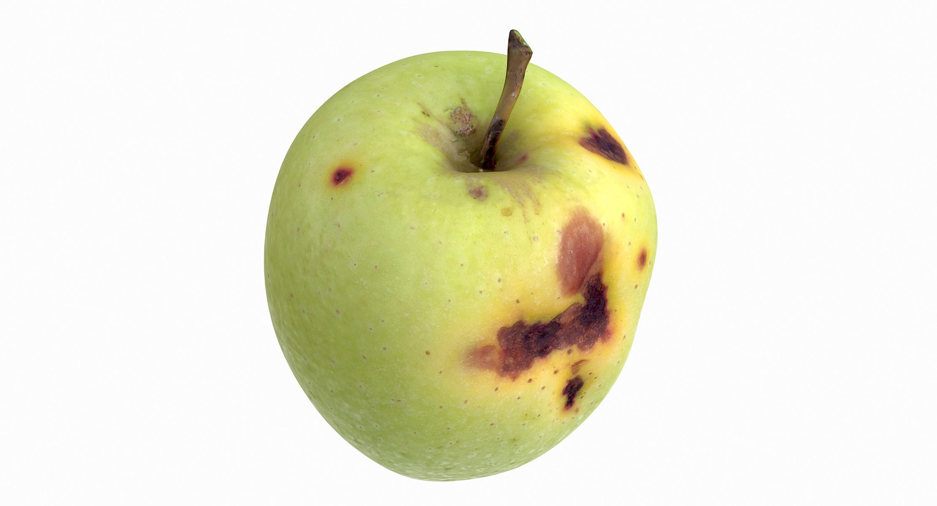 Apple green rotten model - TurboSquid 1316381