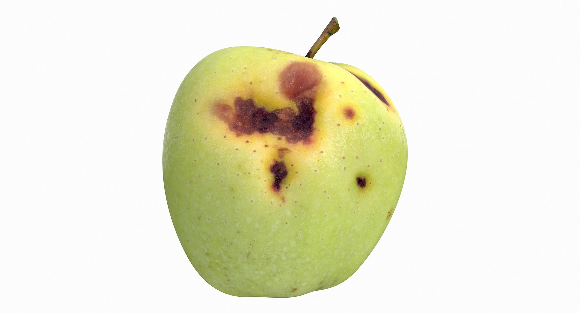 Apple green rotten model - TurboSquid 1316381