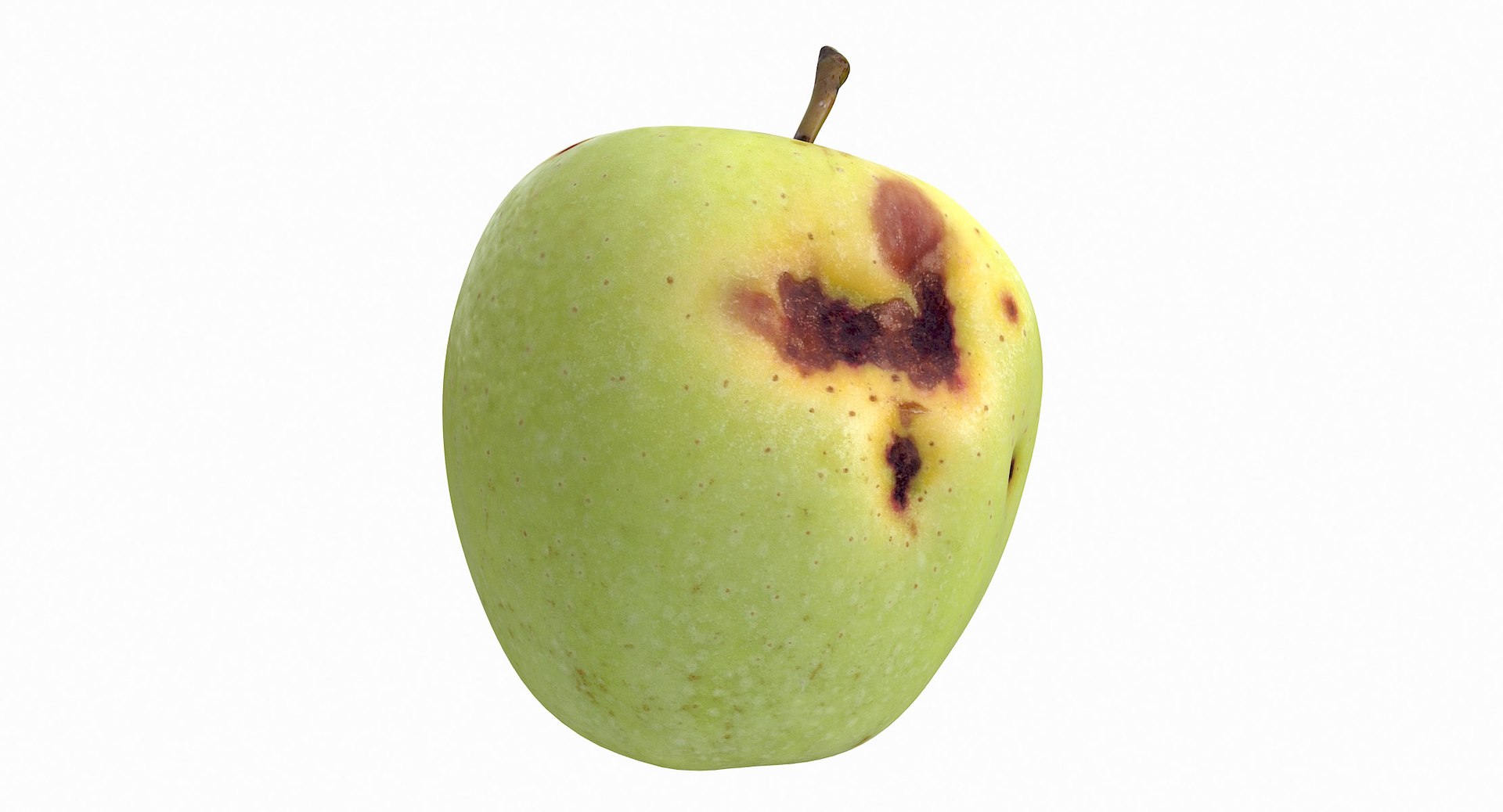 Apple green rotten model - TurboSquid 1316381