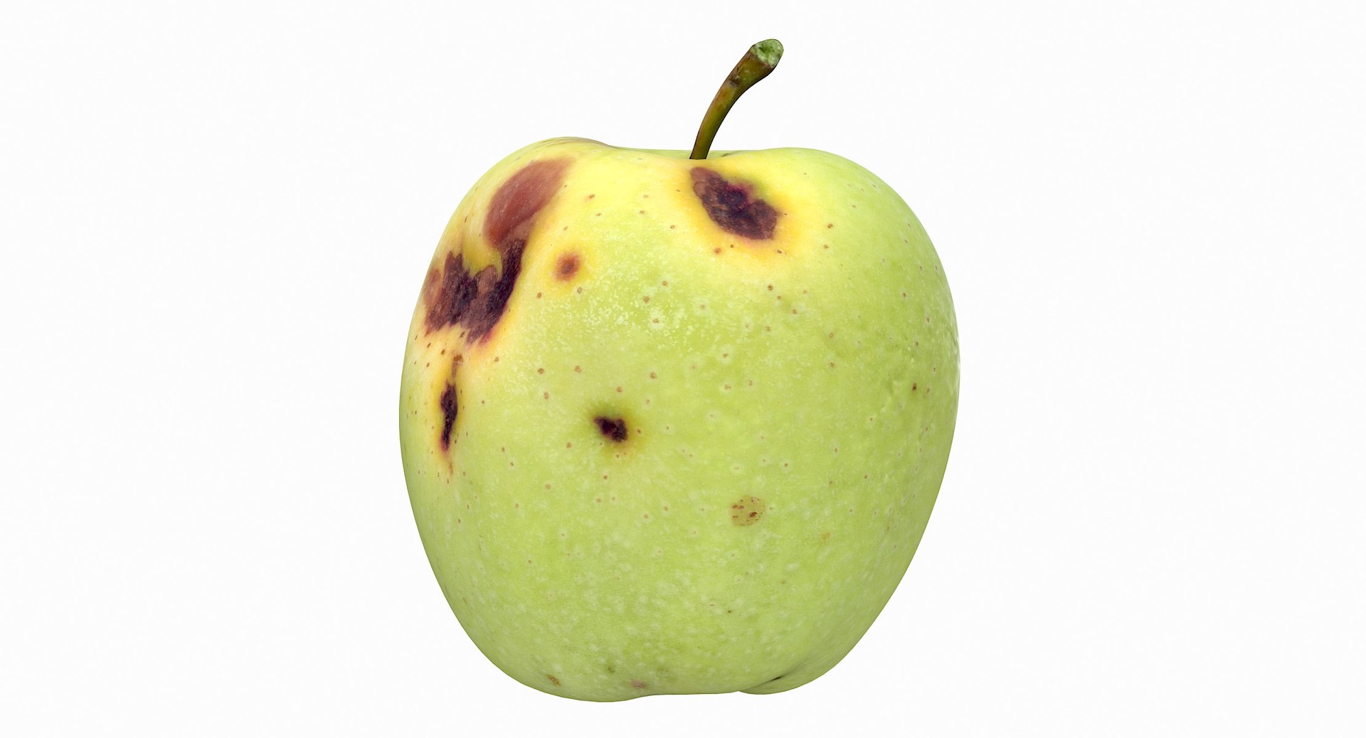 Apple green rotten model - TurboSquid 1316381