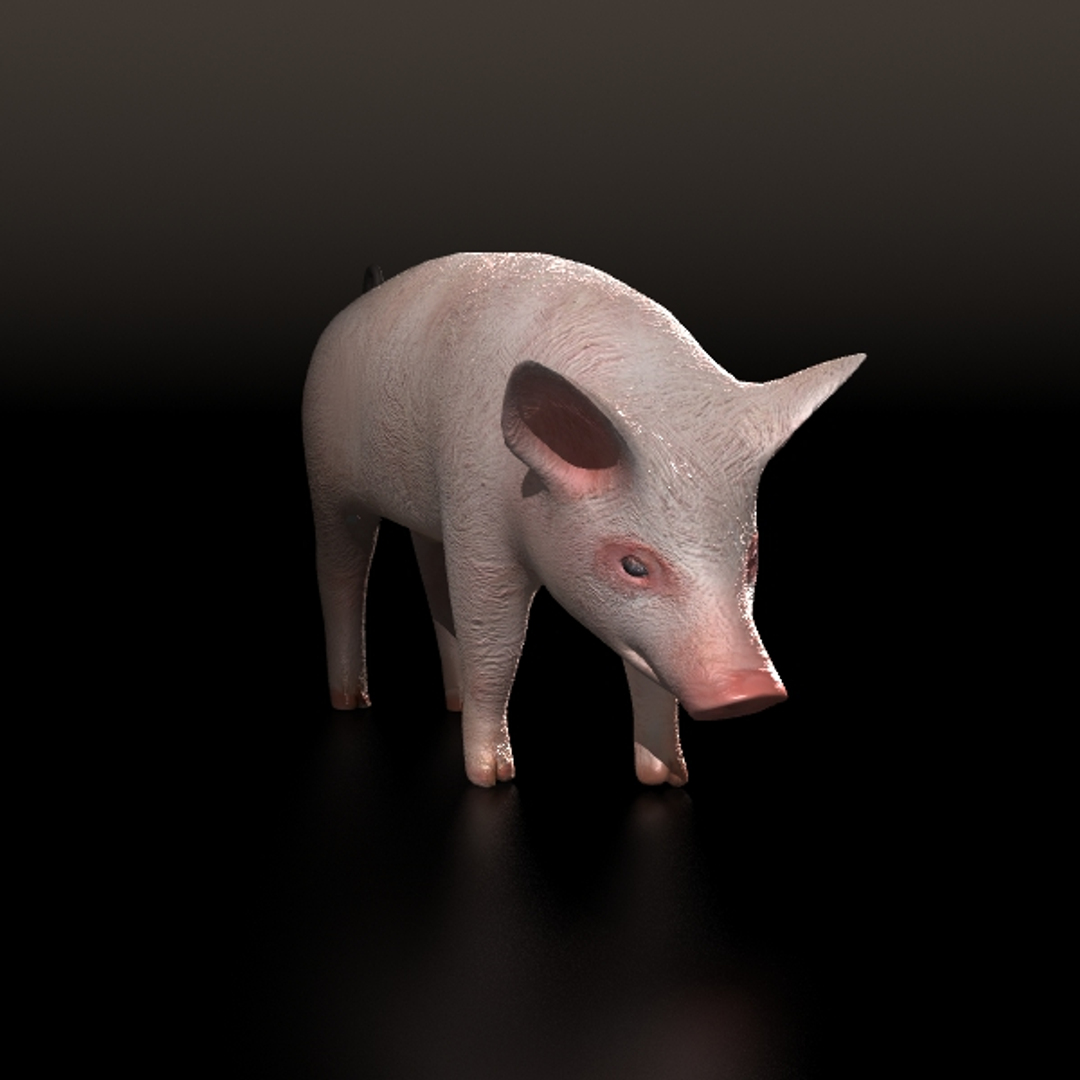 3d Lightwave Animation Model