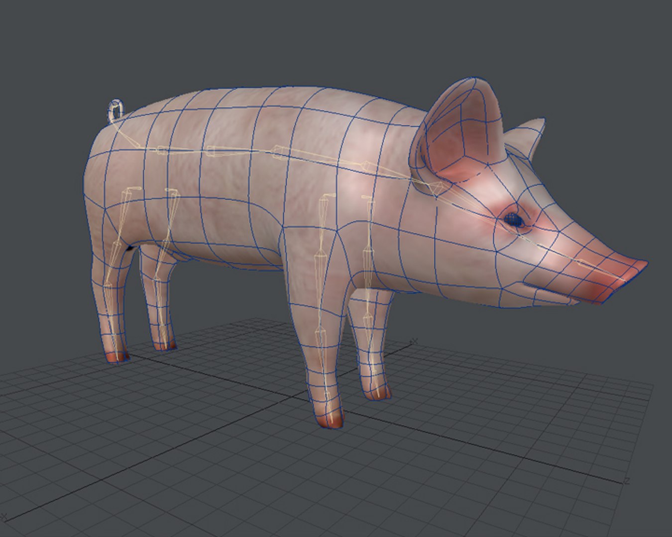 3d Lightwave Animation Model