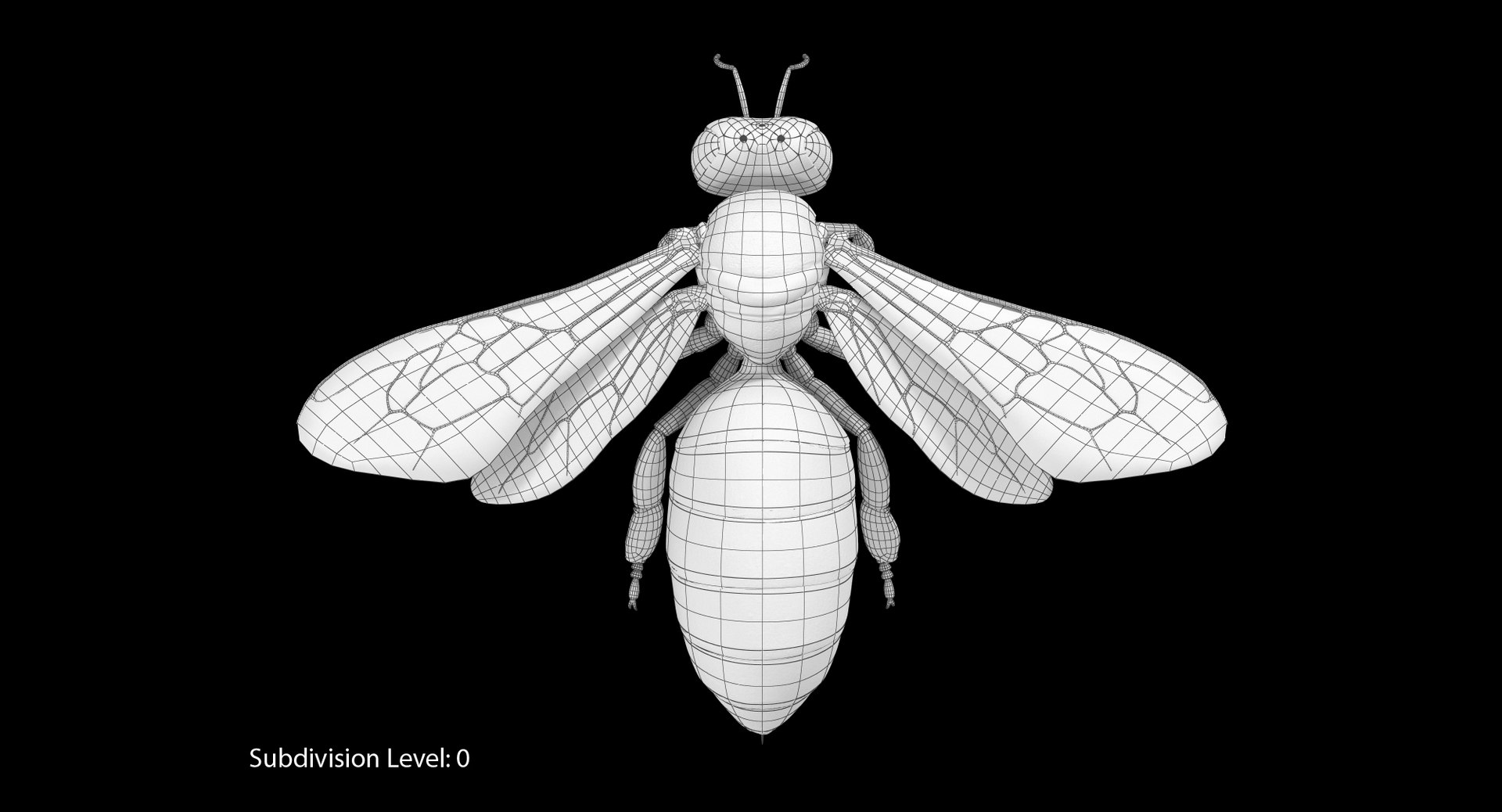 3d Bee