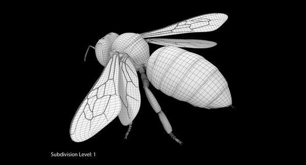 3d bee