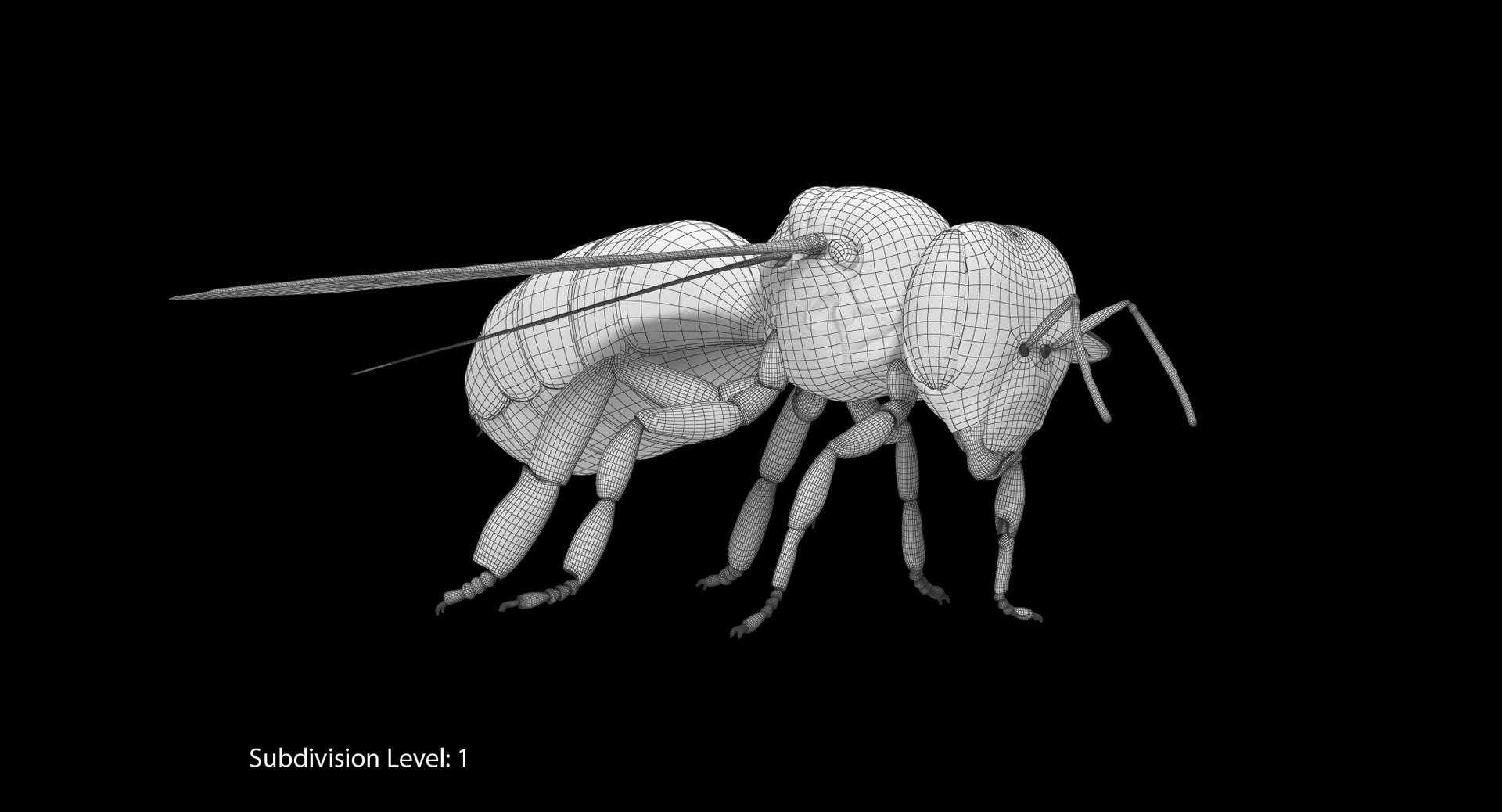 3d Bee