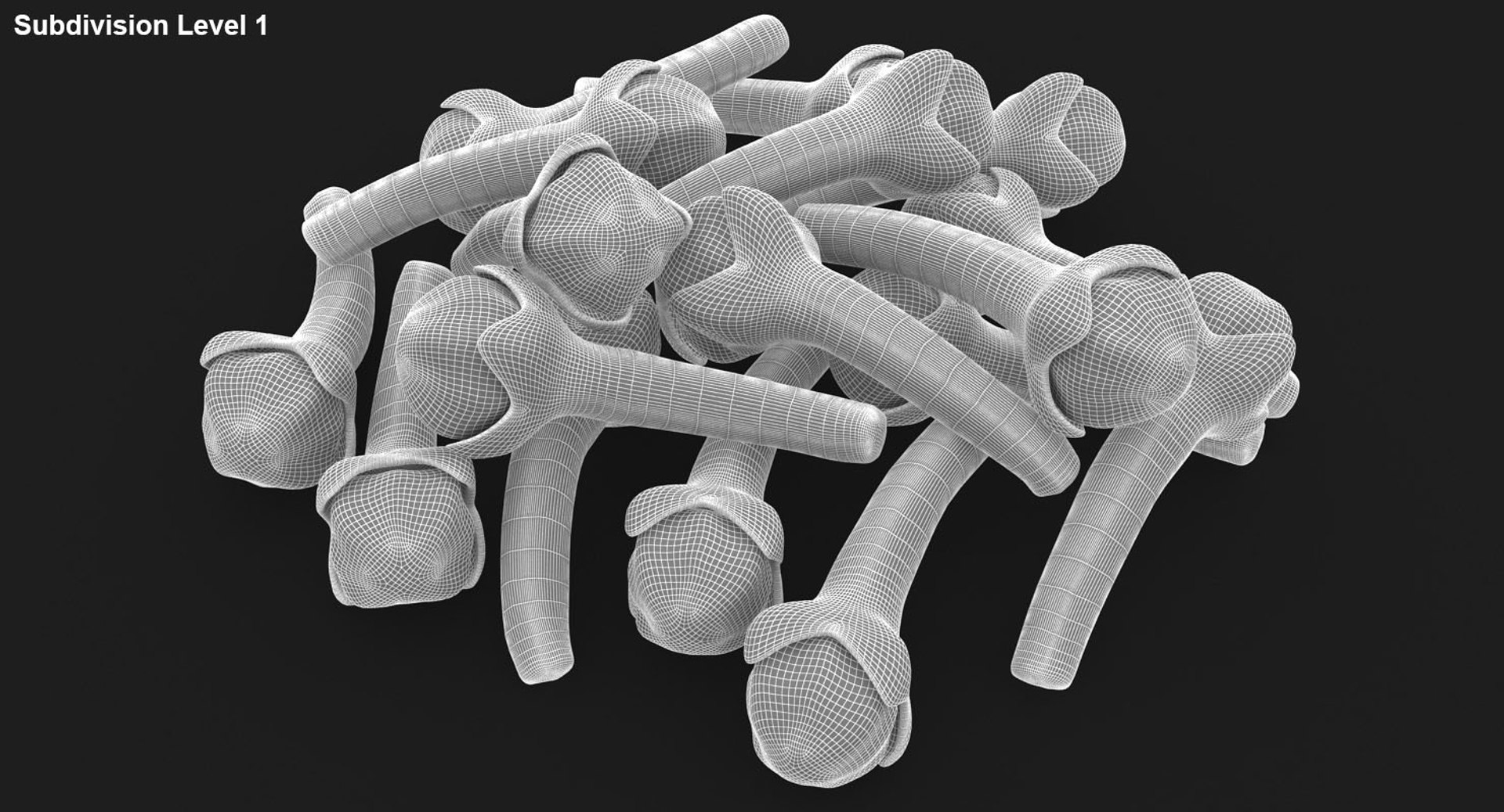 3d Model Clove Pose 2