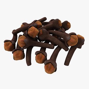 3D Clove Models - Browse & Download Formats - TurboSquid