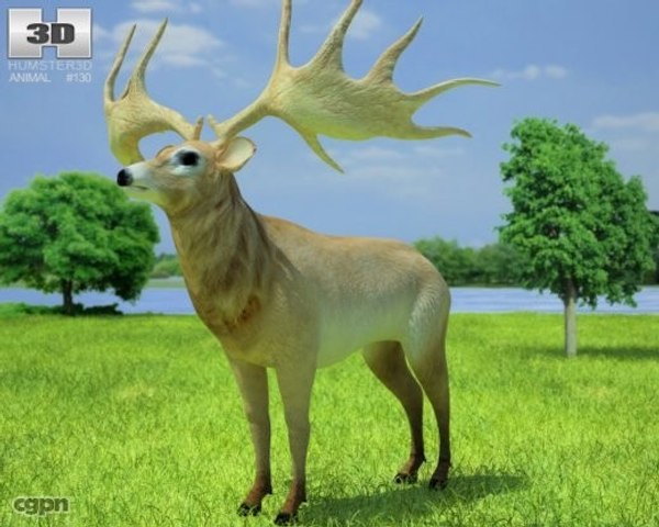 modelo 3d Alce irlandés - TurboSquid 1131341