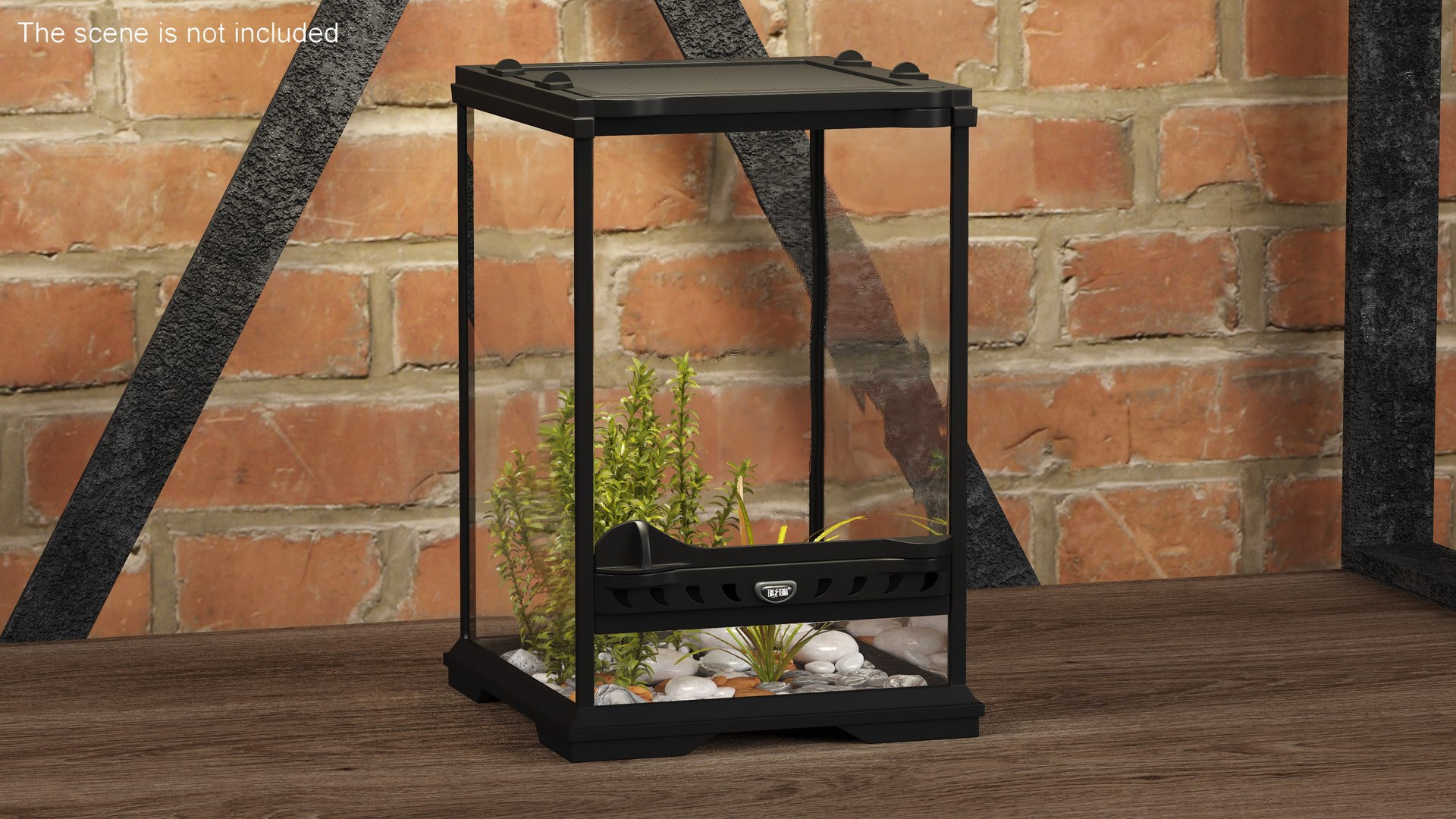 Little Desktop Terrarium With Plants 3D - TurboSquid 2146930