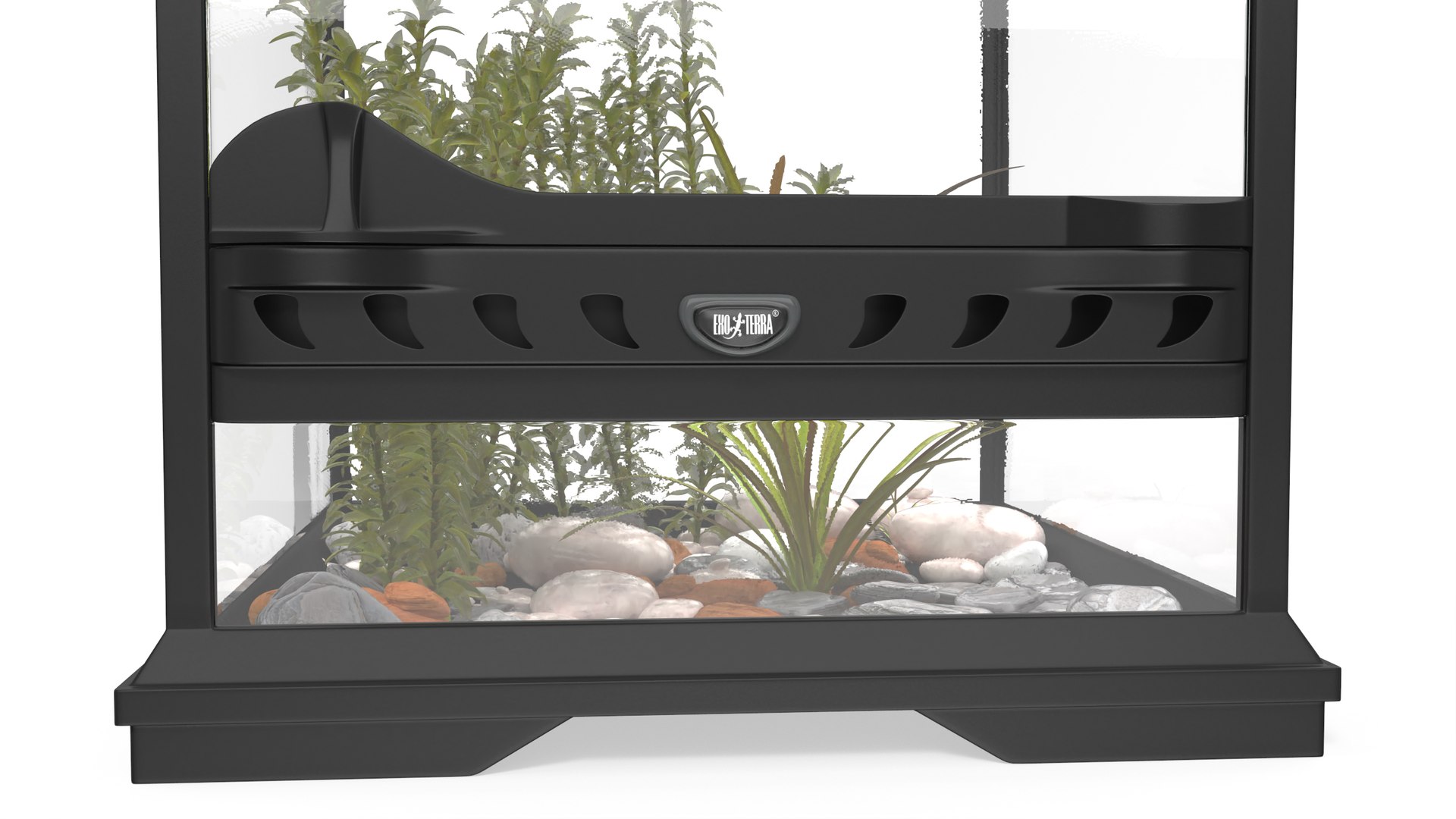 Little Desktop Terrarium With Plants 3D - TurboSquid 2146930