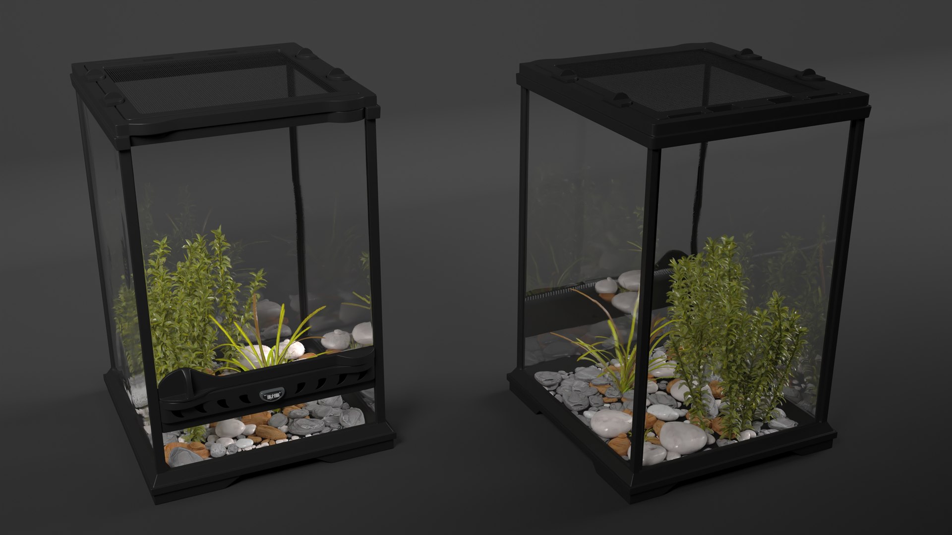 Little Desktop Terrarium With Plants 3D - TurboSquid 2146930