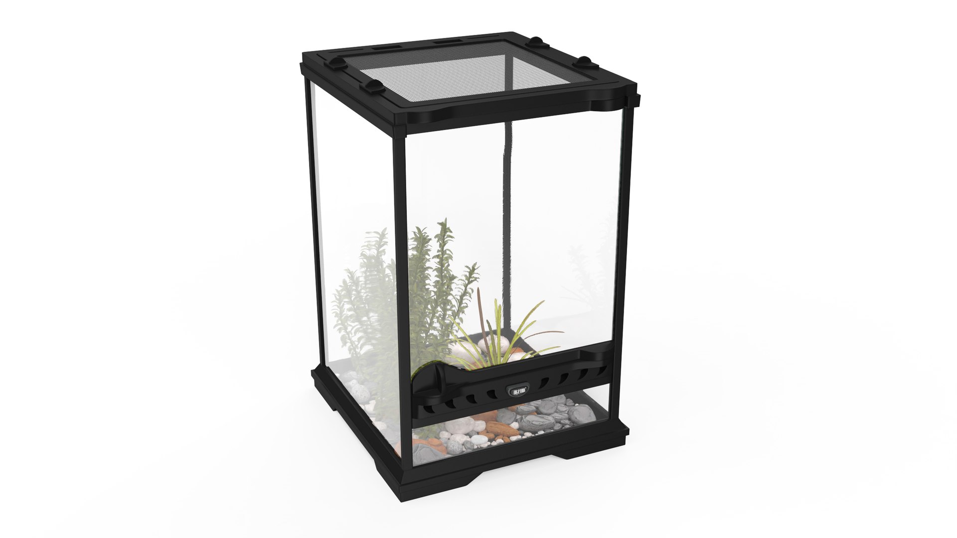 Little Desktop Terrarium With Plants 3D - TurboSquid 2146930