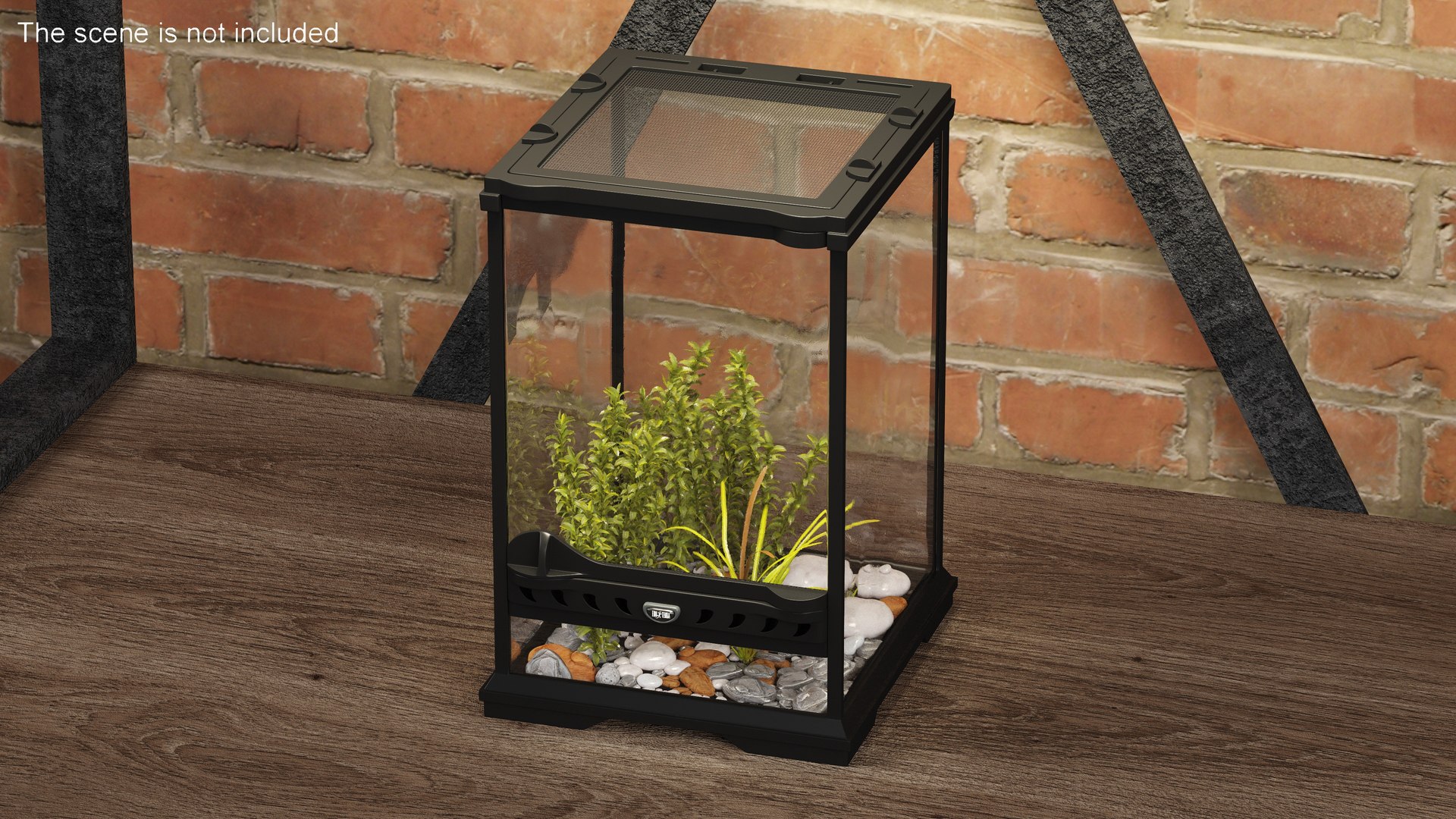 Little Desktop Terrarium With Plants 3D - TurboSquid 2146930
