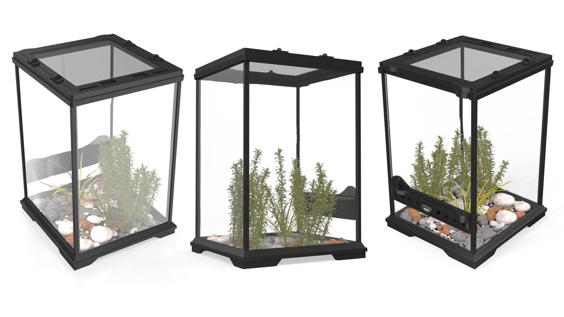 Little Desktop Terrarium With Plants 3D - TurboSquid 2146930
