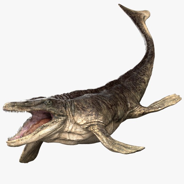 modelo 3d Tylosaurus (Rigged) - TurboSquid 1413380