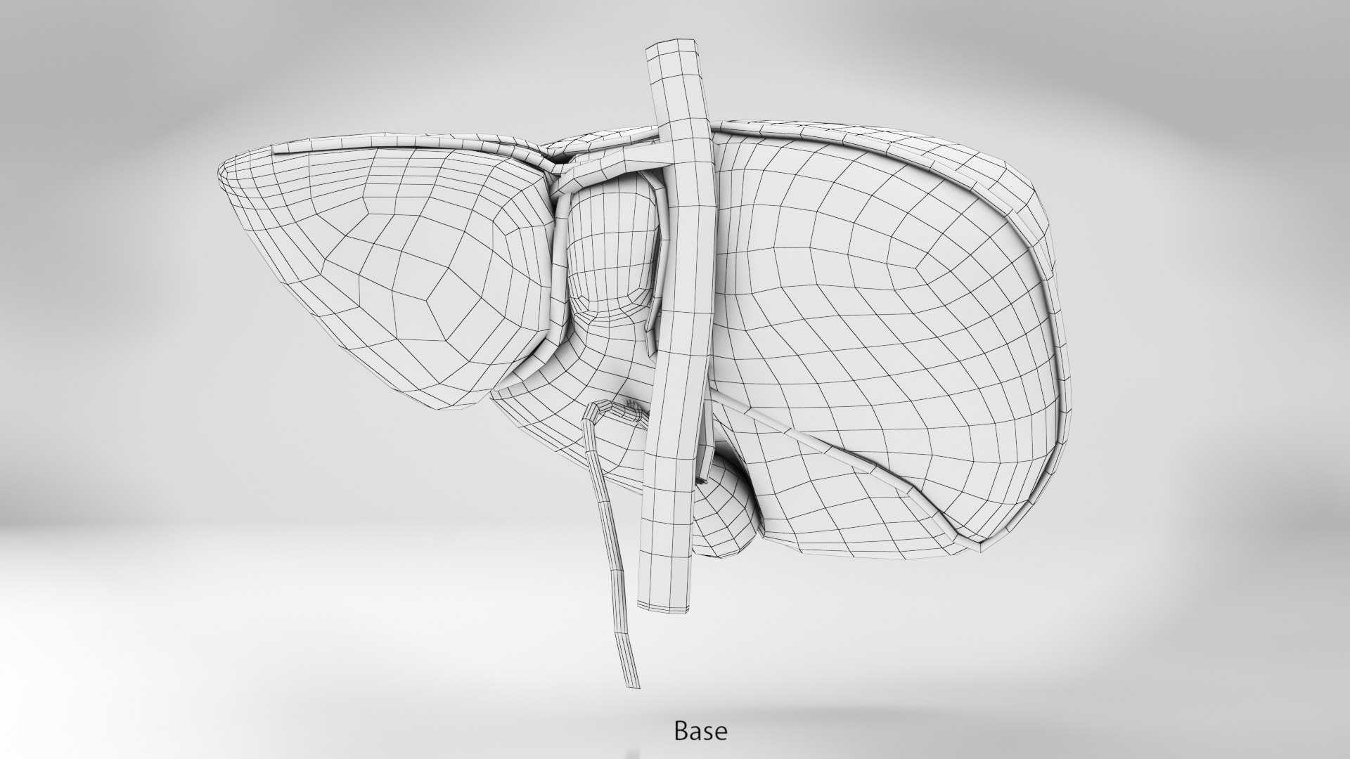 3D Liver Anatomy Model - TurboSquid 1821345