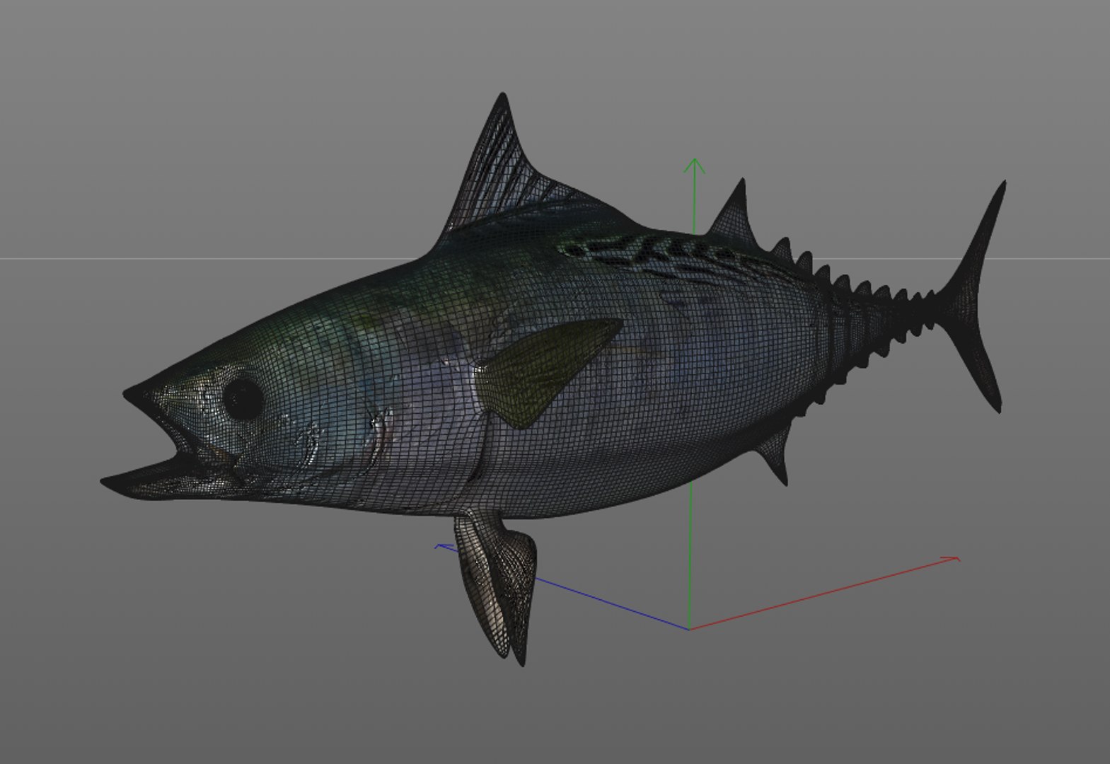 3D Fish - TurboSquid 1551937