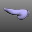 Human Pancreas 3D Model - TurboSquid 1521120
