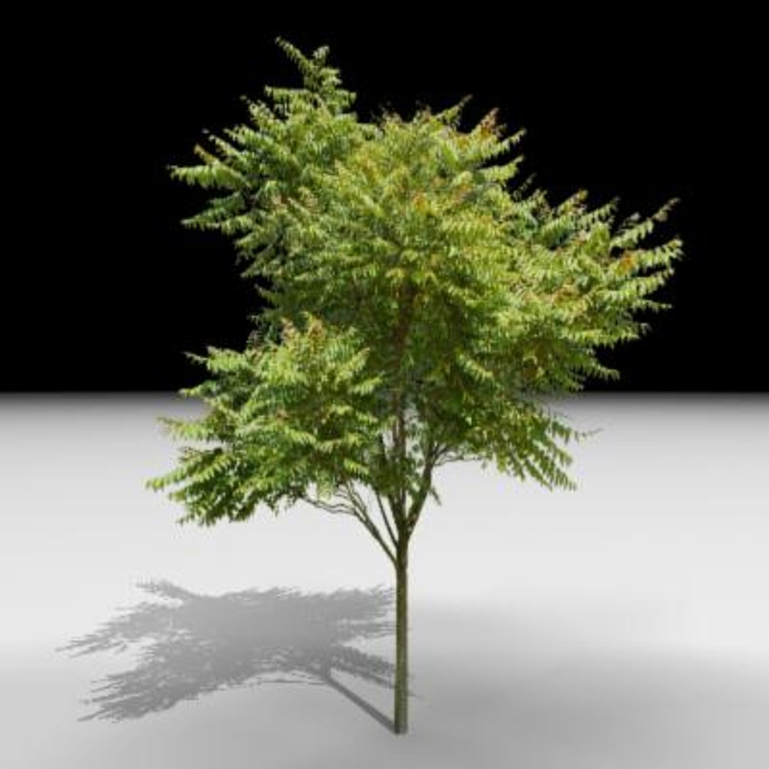 3d Model Tree J3d