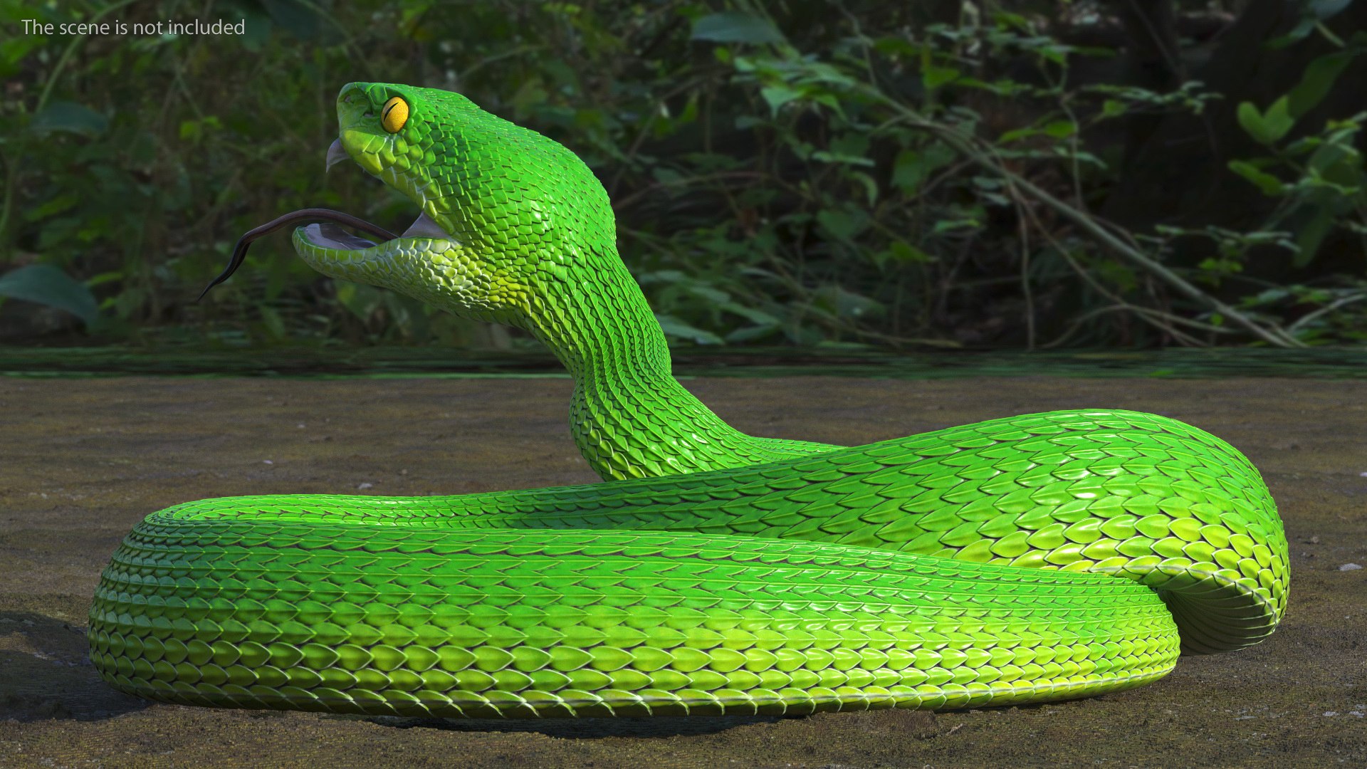 3D Attacking Green Snake Trimeresurus - TurboSquid 2105579