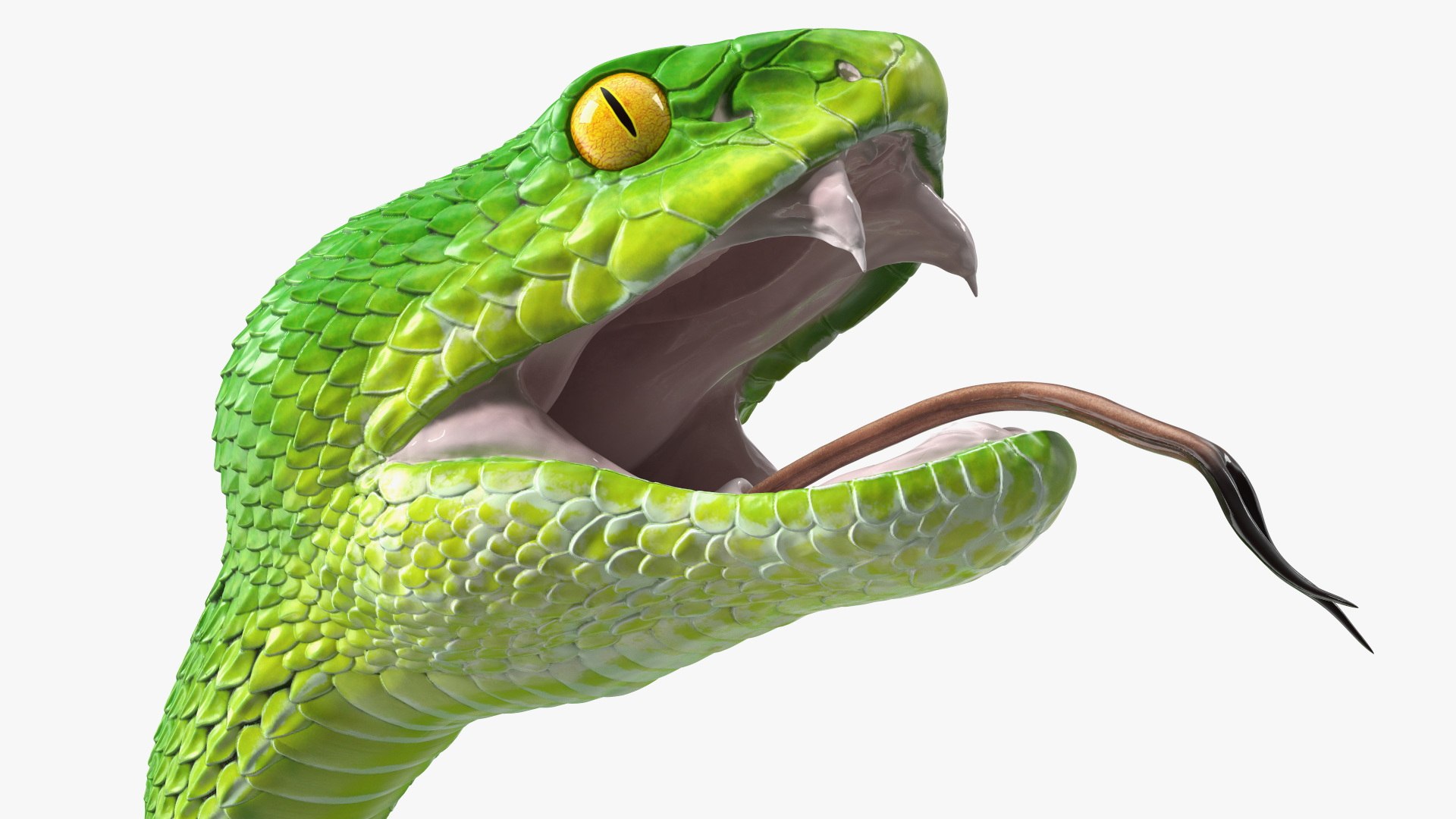 3D Attacking Green Snake Trimeresurus - TurboSquid 2105579