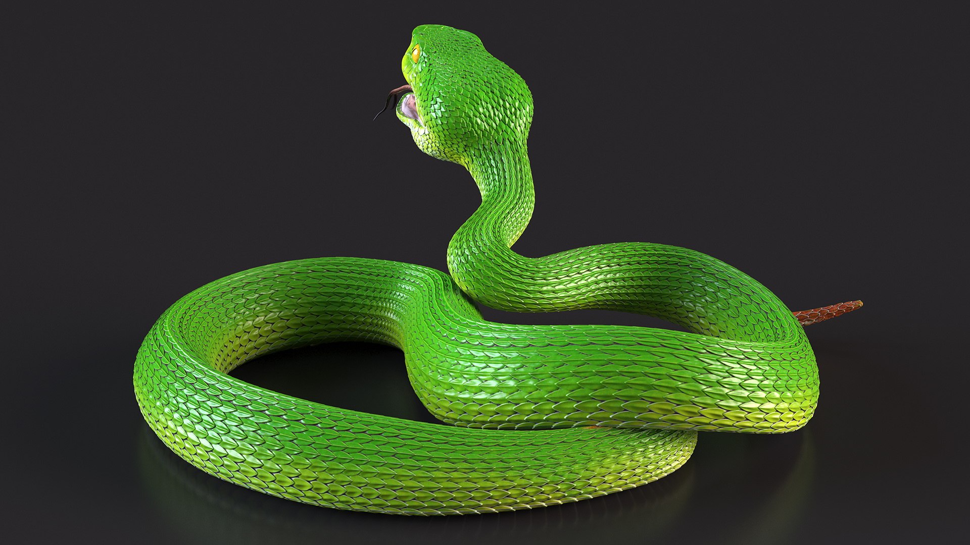 3D Attacking Green Snake Trimeresurus - TurboSquid 2105579