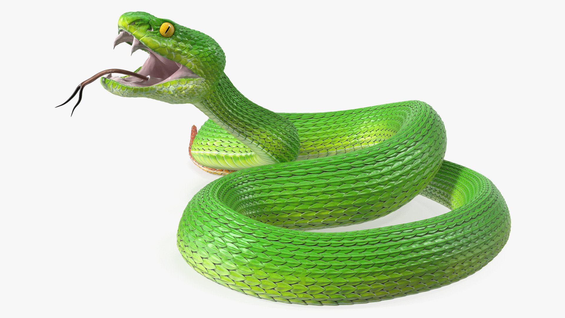 3D Attacking Green Snake Trimeresurus - TurboSquid 2105579