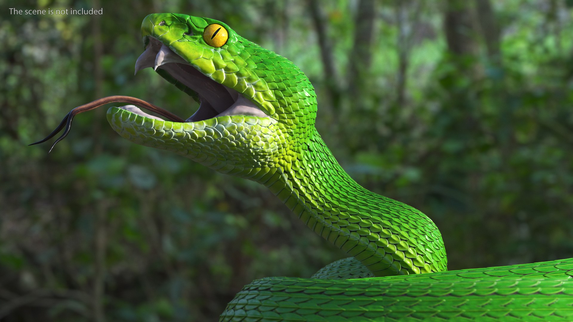 3D Attacking Green Snake Trimeresurus - TurboSquid 2105579