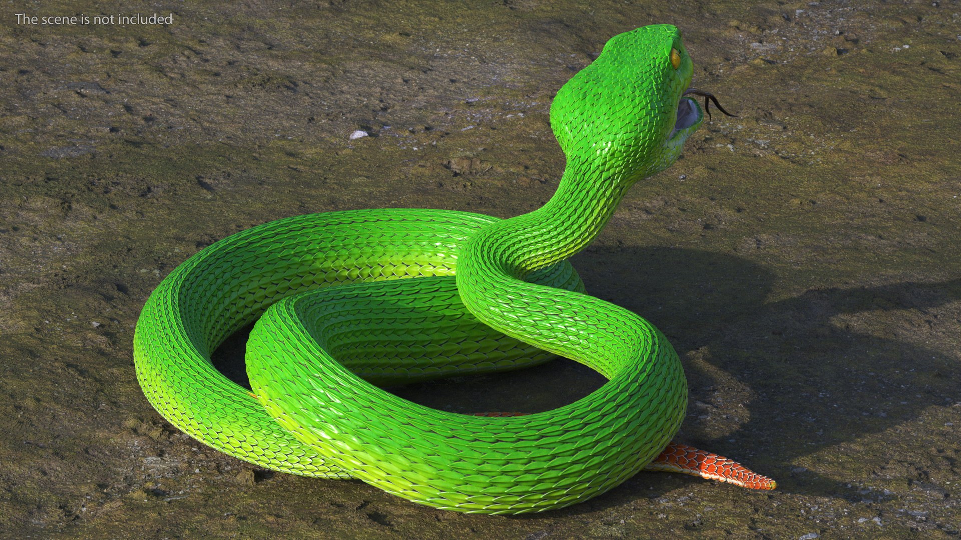 3D Attacking Green Snake Trimeresurus - TurboSquid 2105579